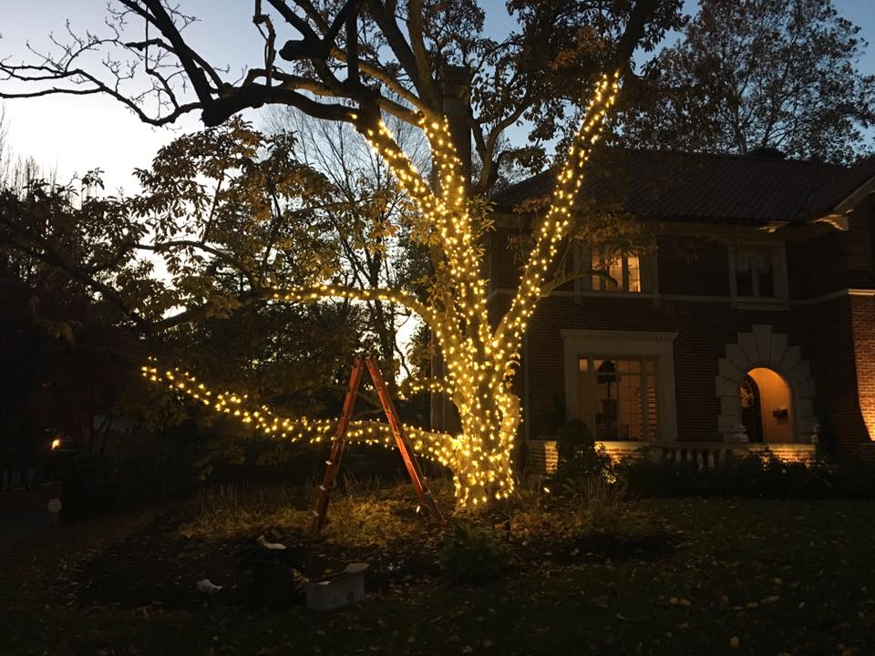 8 Pro Tips for Hanging Holiday Lights - Christmas Light Installers LLC