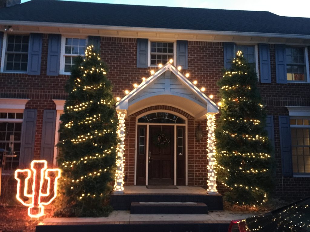 How to install Christmas Lights on tall tree like a pro with out a ...